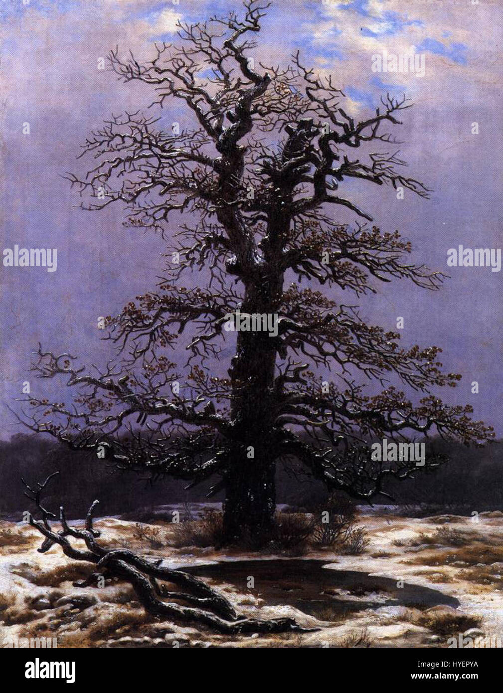 Caspar David Friedrich Oak in the Snow WGA8281 Stock Photo - Alamy