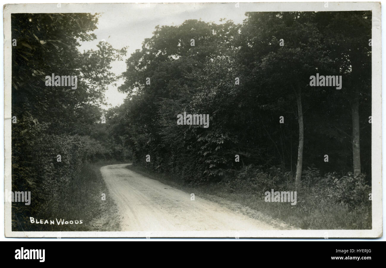 Fred C. Palmer's 'Blean Woods' from 1910 captures the natural beauty of ...