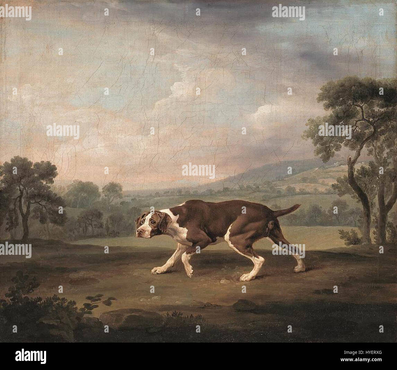George Stubbs's painting 'The Pointer' (WGA21950) depicts a dog breed ...
