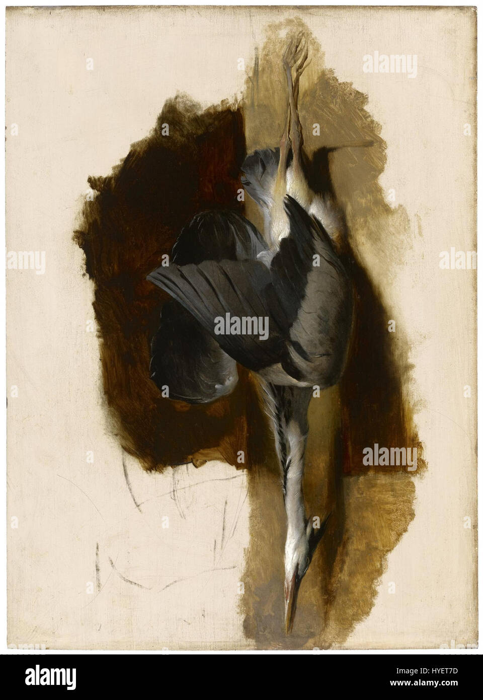 Edwin Landseer Study of a Dead Heron Google Art Project Stock Photo - Alamy