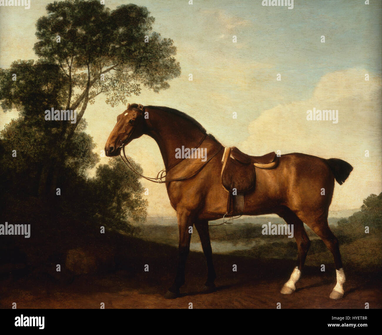 Anatomically accurate hi-res stock photography and images - Alamy