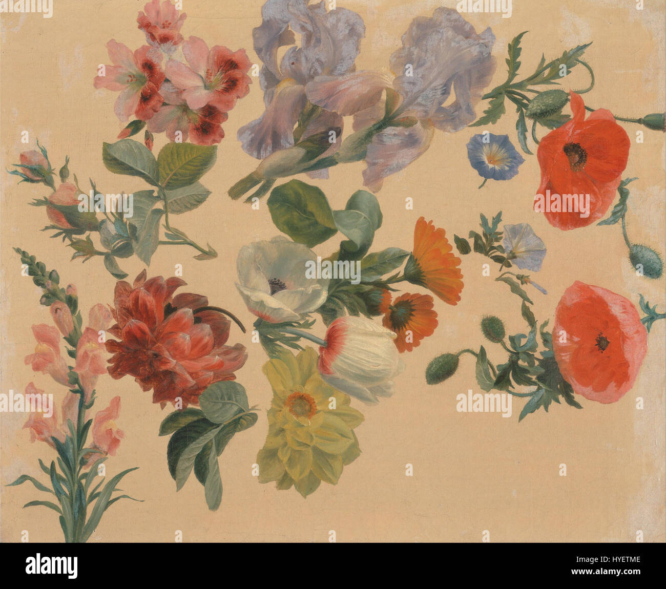 Jacques Laurent Agasse was a Swiss-born artist known for his botanical ...