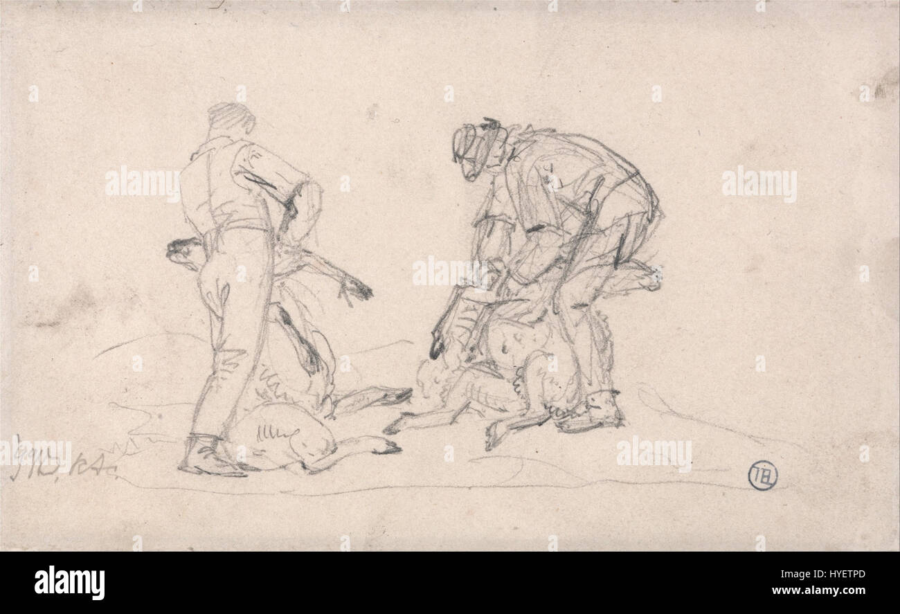 Sheep shearing antique drawing hi-res stock photography and images - Alamy