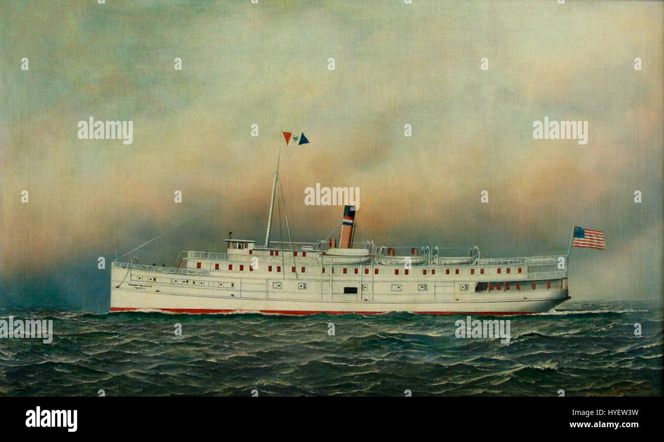 The U.S. Army Transport Terry was a ship used by the U.S. Army during ...