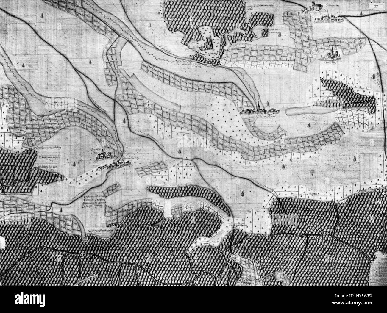 The 'Kiesersche Forstkarte Nr. 77' is a detailed forest map of the ...