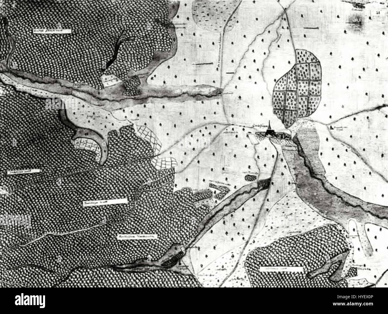 ‘Kiesersche Forstkarte Nr. 51’ is a historical forest map of ...