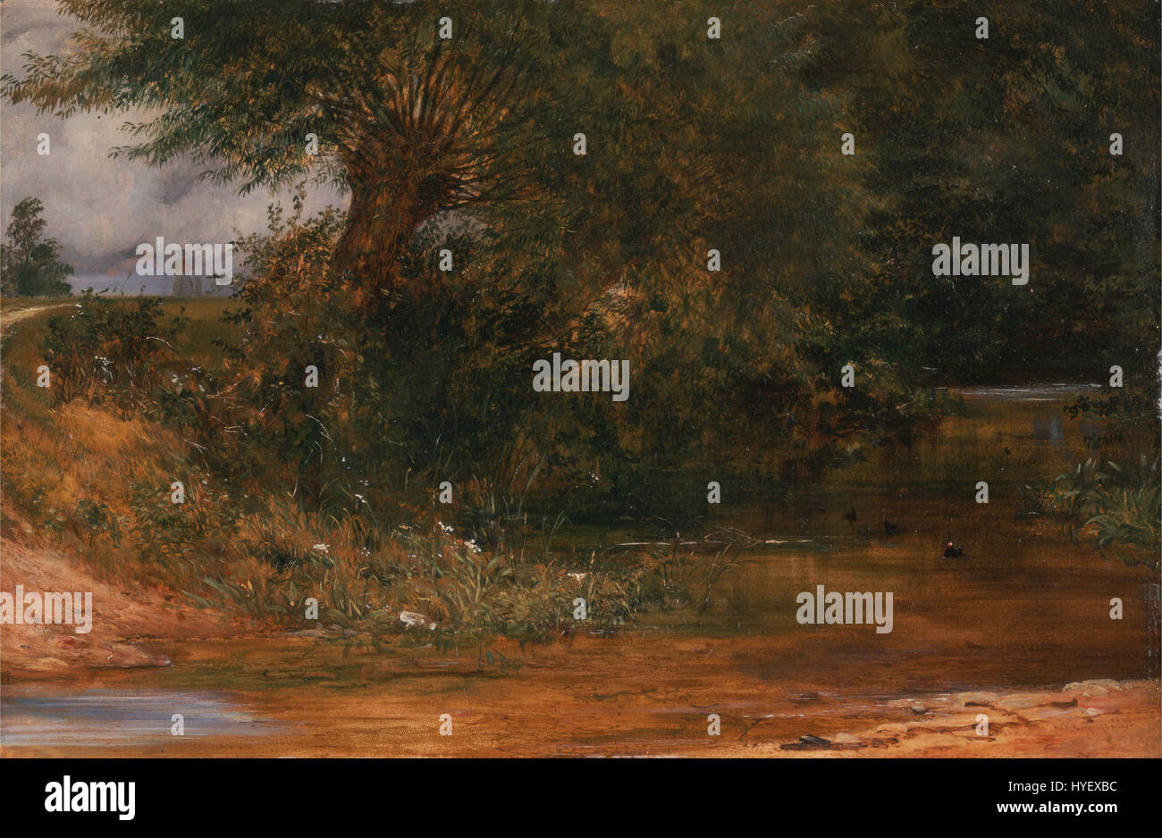 'The Moorhen's Haunt' by Richard Redgrave depicts a tranquil scene in a ...