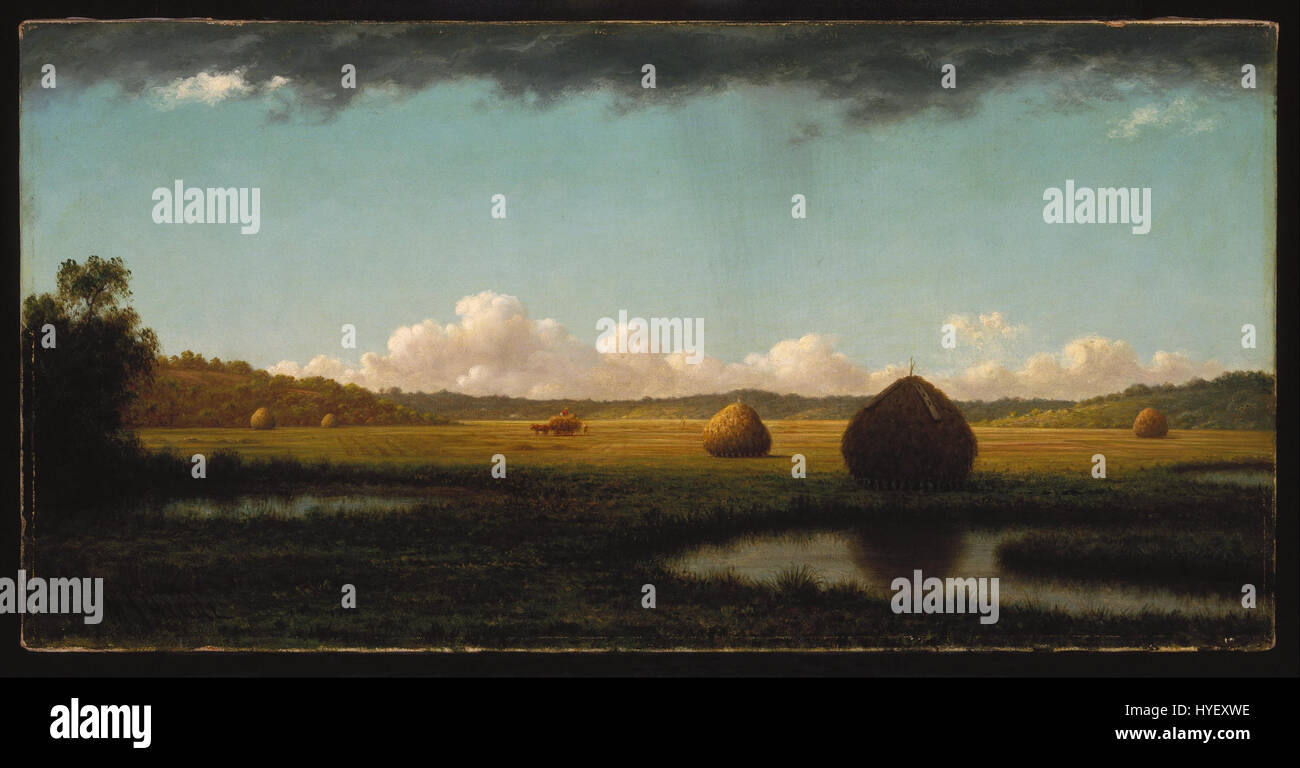 Martin Johnson Heade’s 'Summer Showers' captures the beauty of nature ...