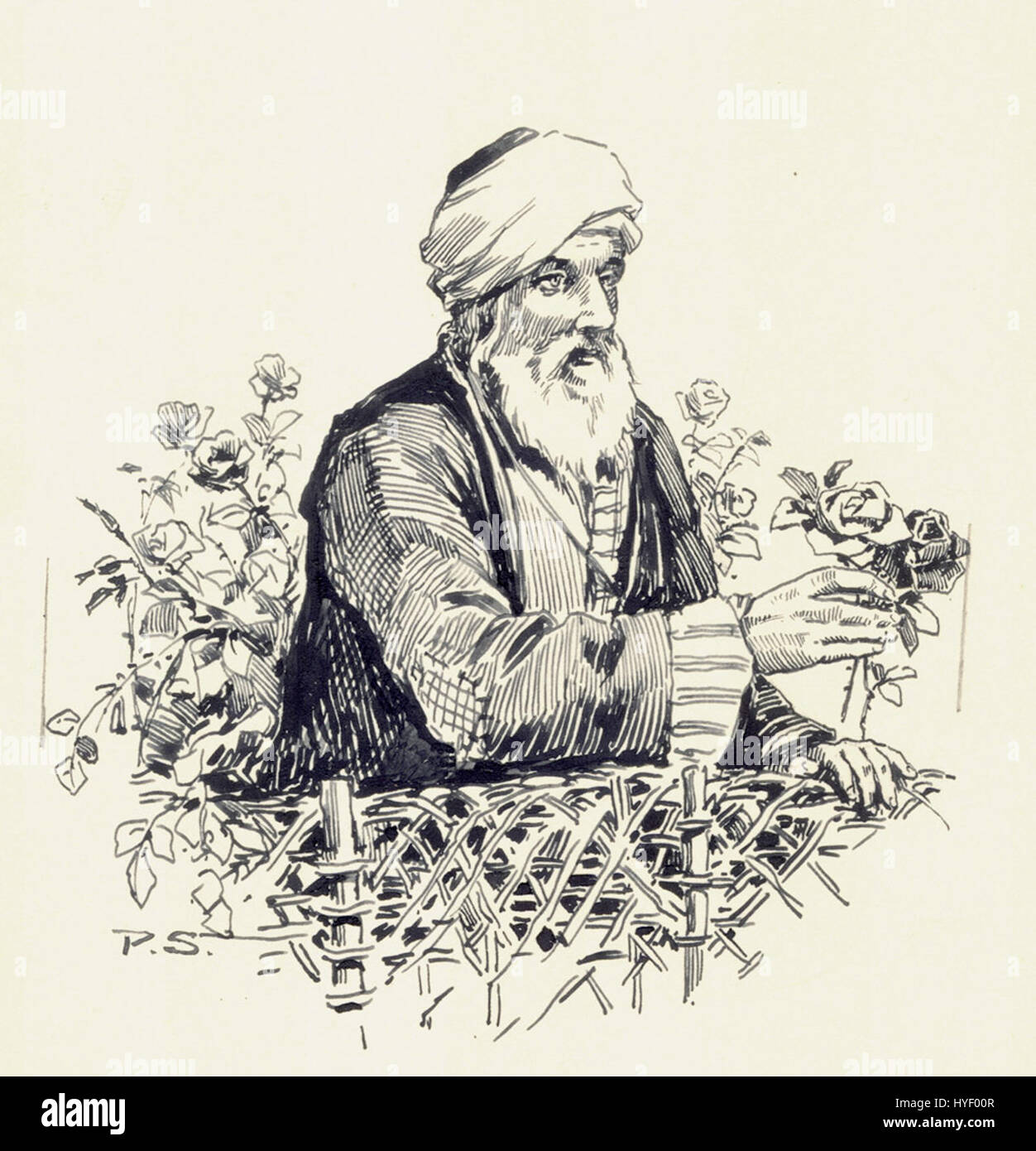 Peter schnorr hi-res stock photography and images - Alamy