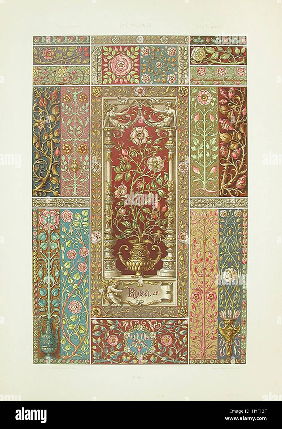 Anton Seder's 'Roses' is a botanical illustration showcasing the ...