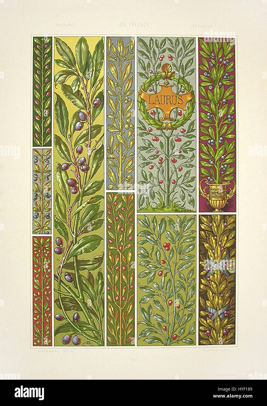 Steadfast symbols hi-res stock photography and images - Alamy