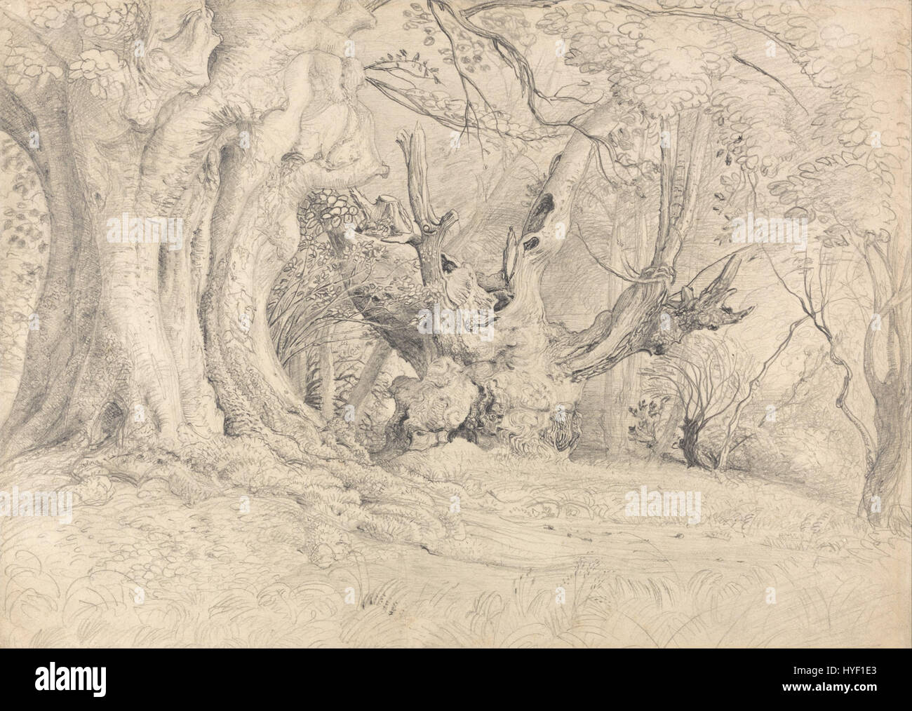 Samuel palmer work of art hi-res stock photography and images - Alamy