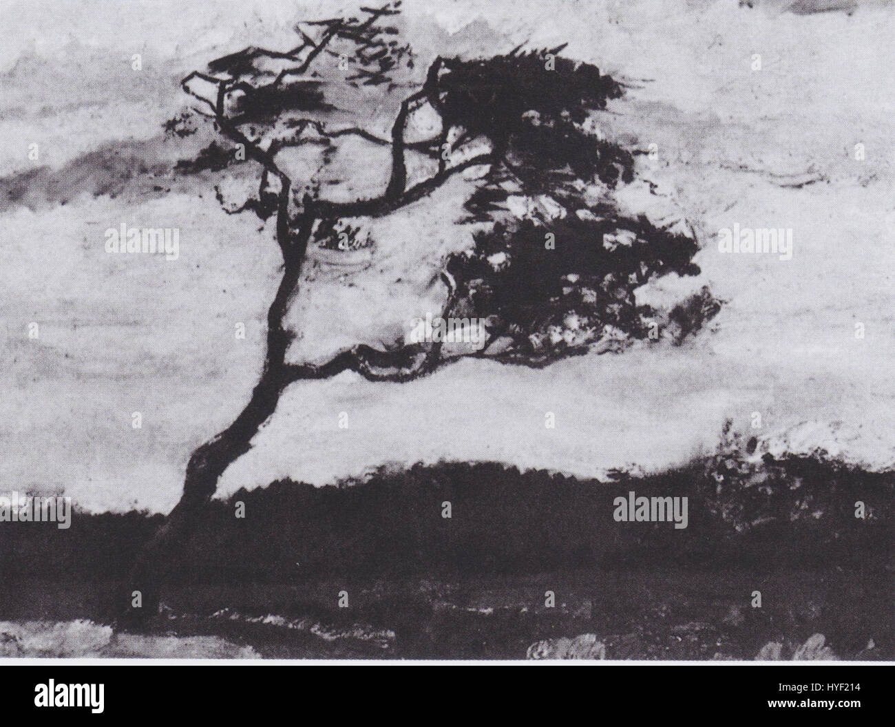 'Van Gogh Baum, vom Wind gepeitscht' (Tree, Blown by the Wind) is a ...