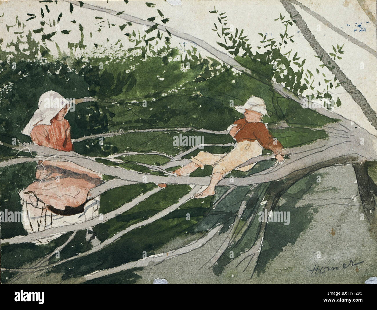 Out on a limb hi-res stock photography and images - Alamy