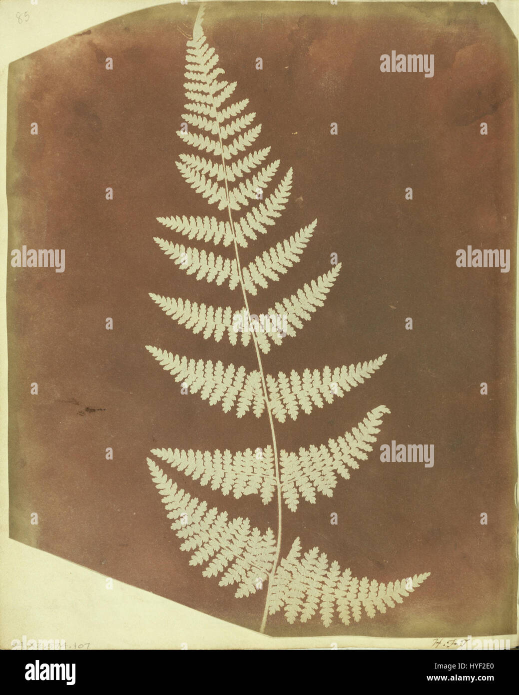 William Henry Fox Talbot, a pioneer in photography, is known for his ...