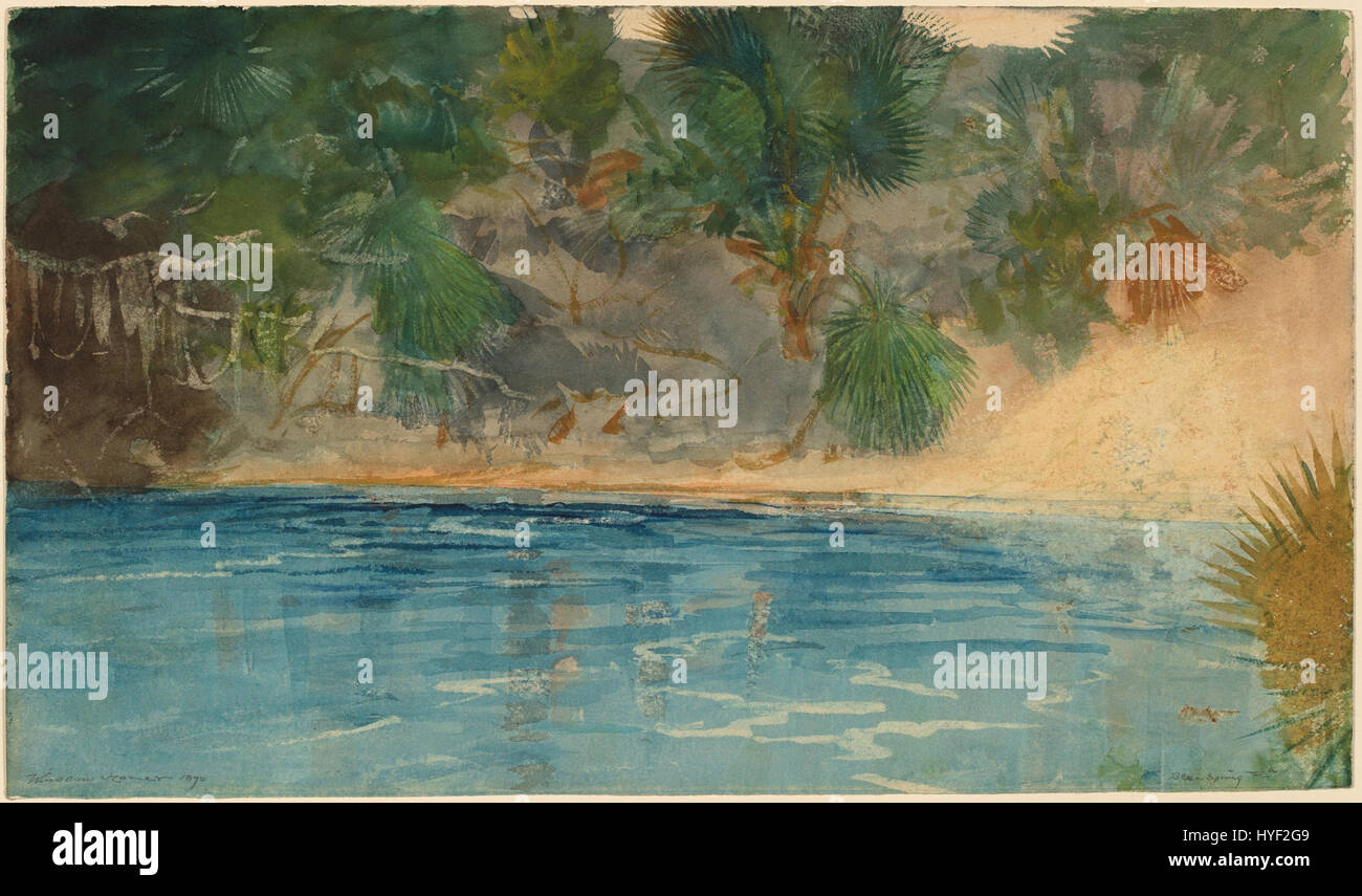 Winslow Homer’s painting, 'Blue Spring, Florida,' captures the serene ...