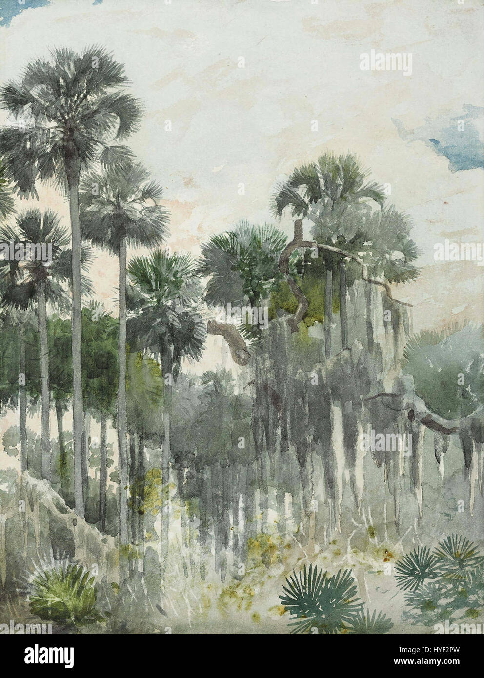 Winslow homer florida hi-res stock photography and images - Alamy