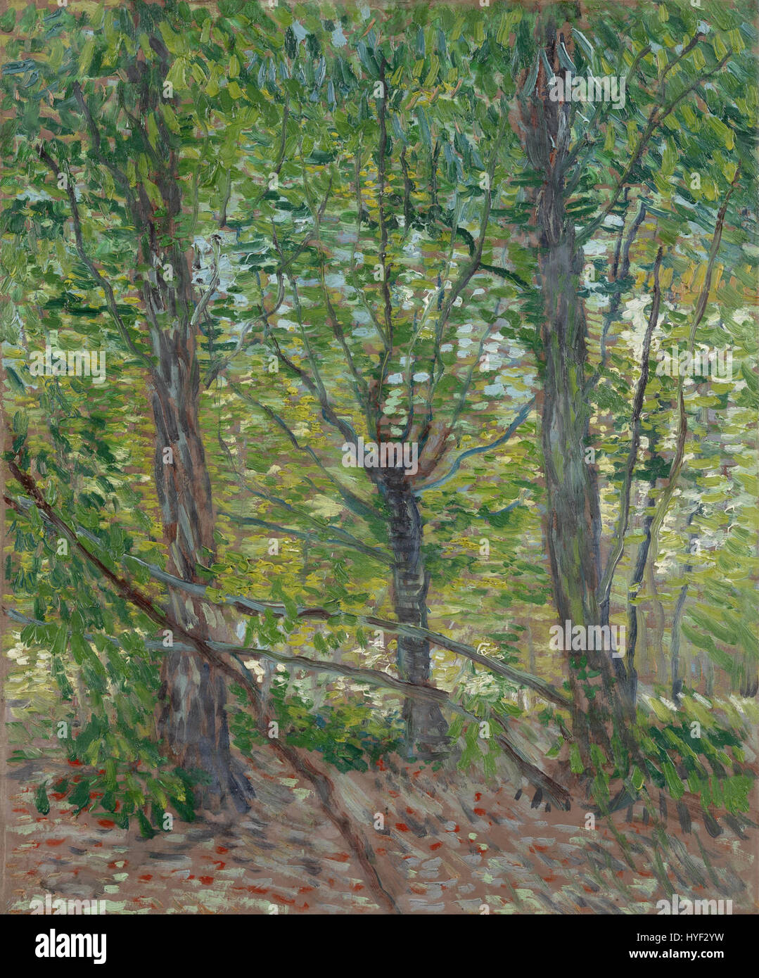 Vincent van Gogh’s painting 'Trees' showcases his characteristic style ...