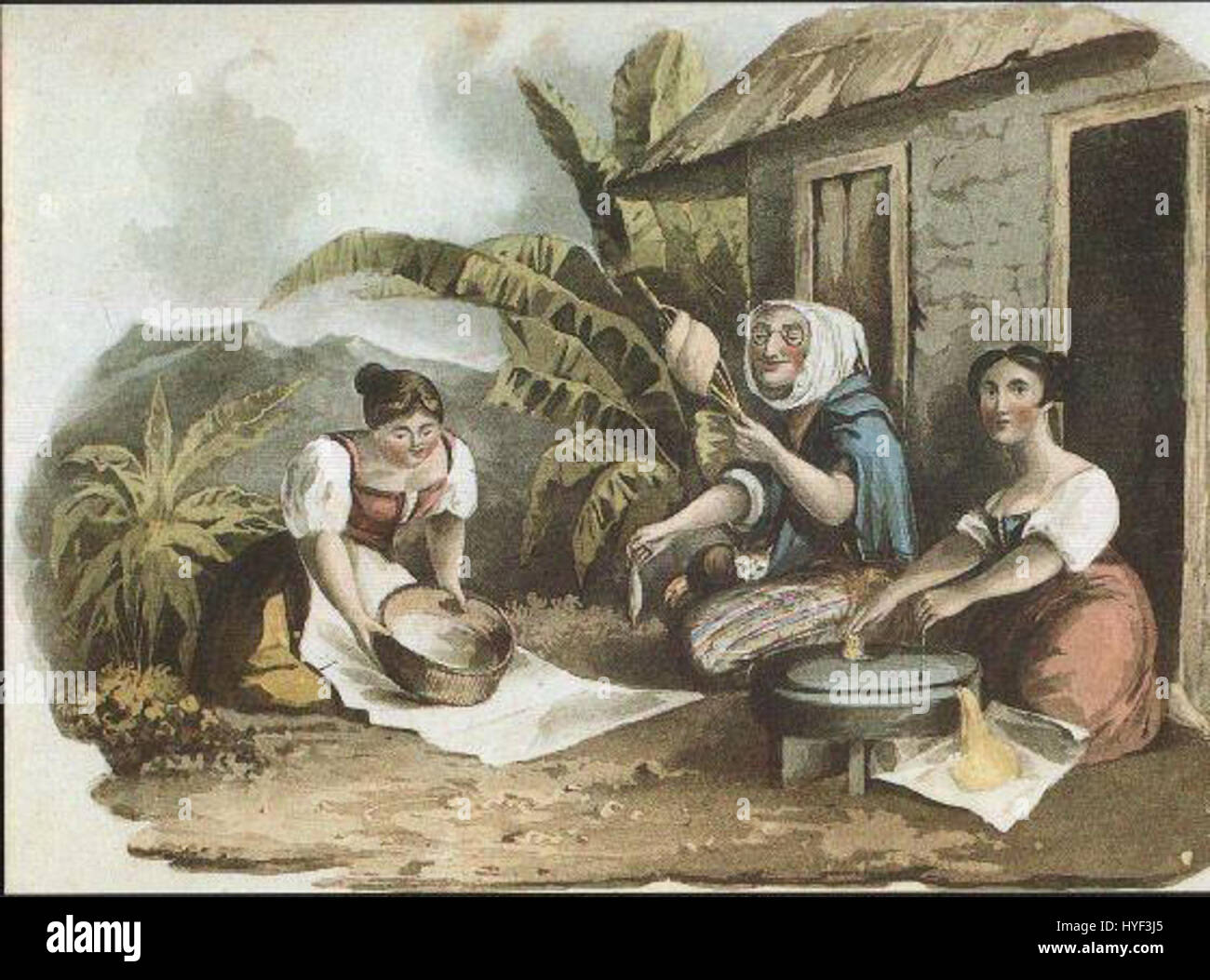 A detailed study on rural occupations in Madeira, providing insights ...