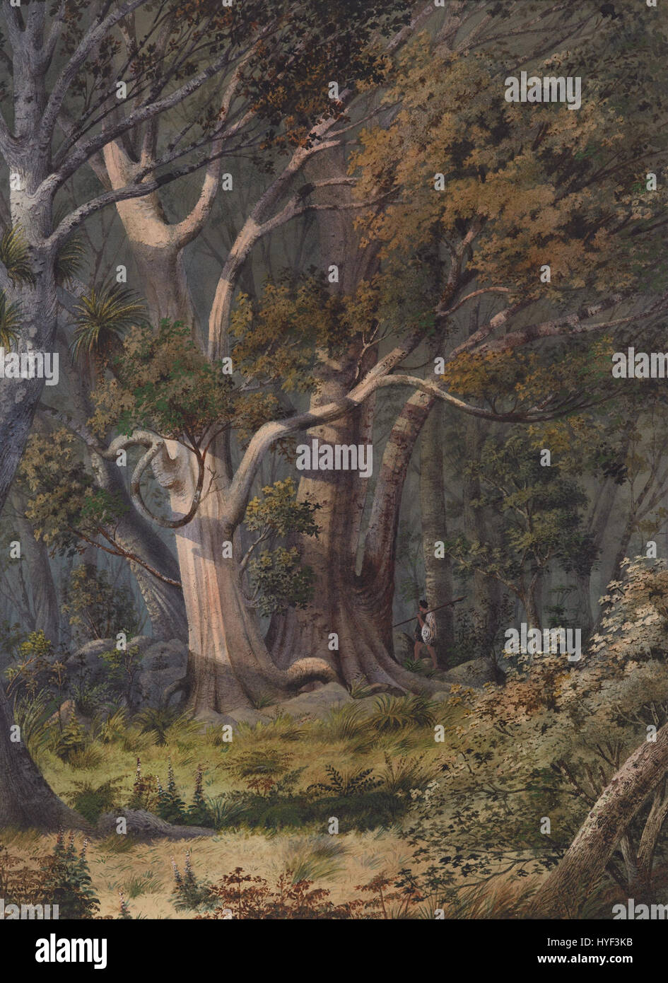 Painting alfred sharpe burial place of hone heke hi-res stock ...