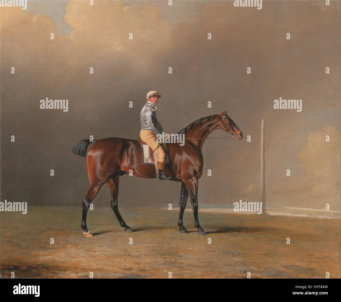 Dennis Fitzpatrick High Resolution Stock Photography and Images - Alamy