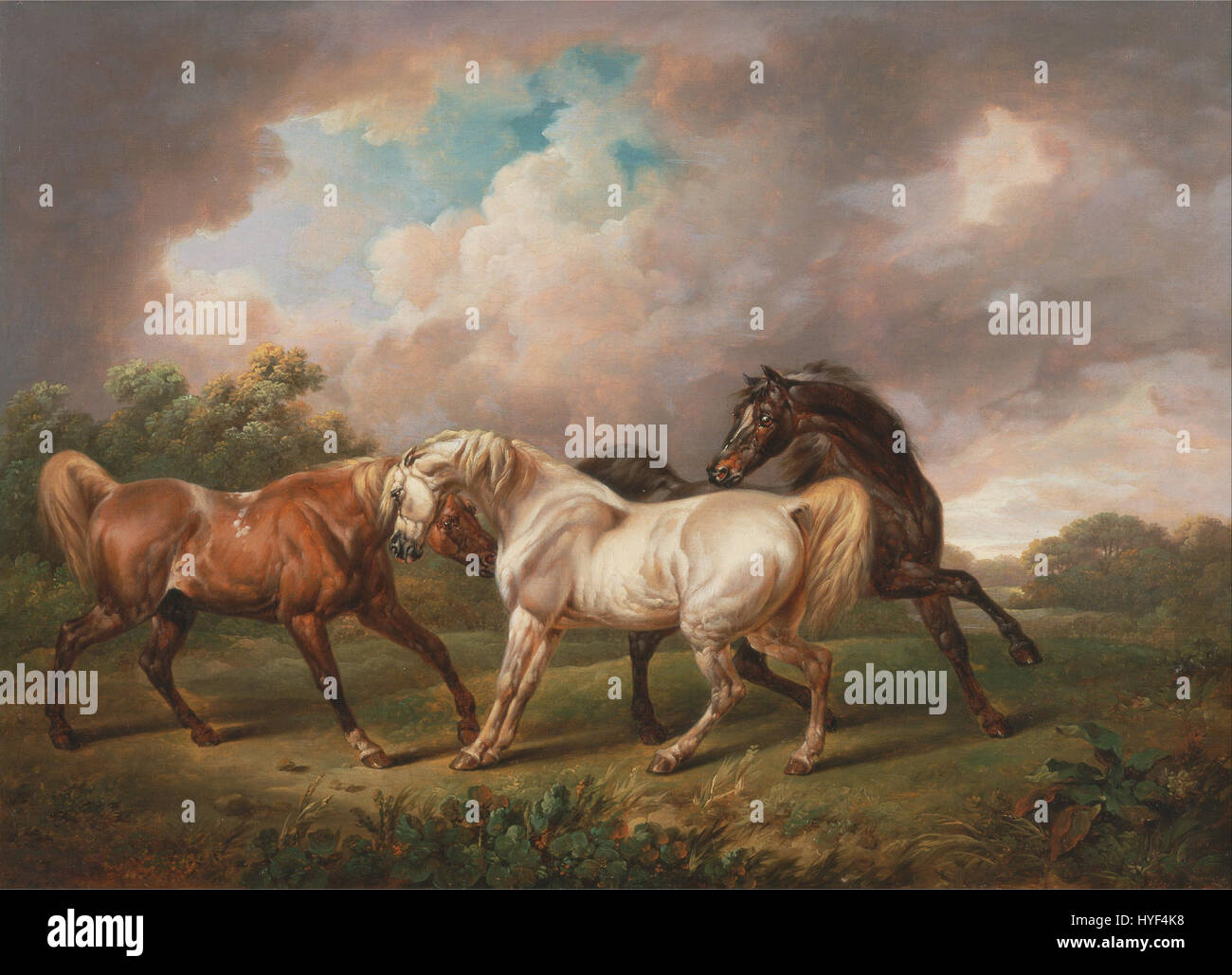 Three horses in a stormy landscape hi-res stock photography and images ...