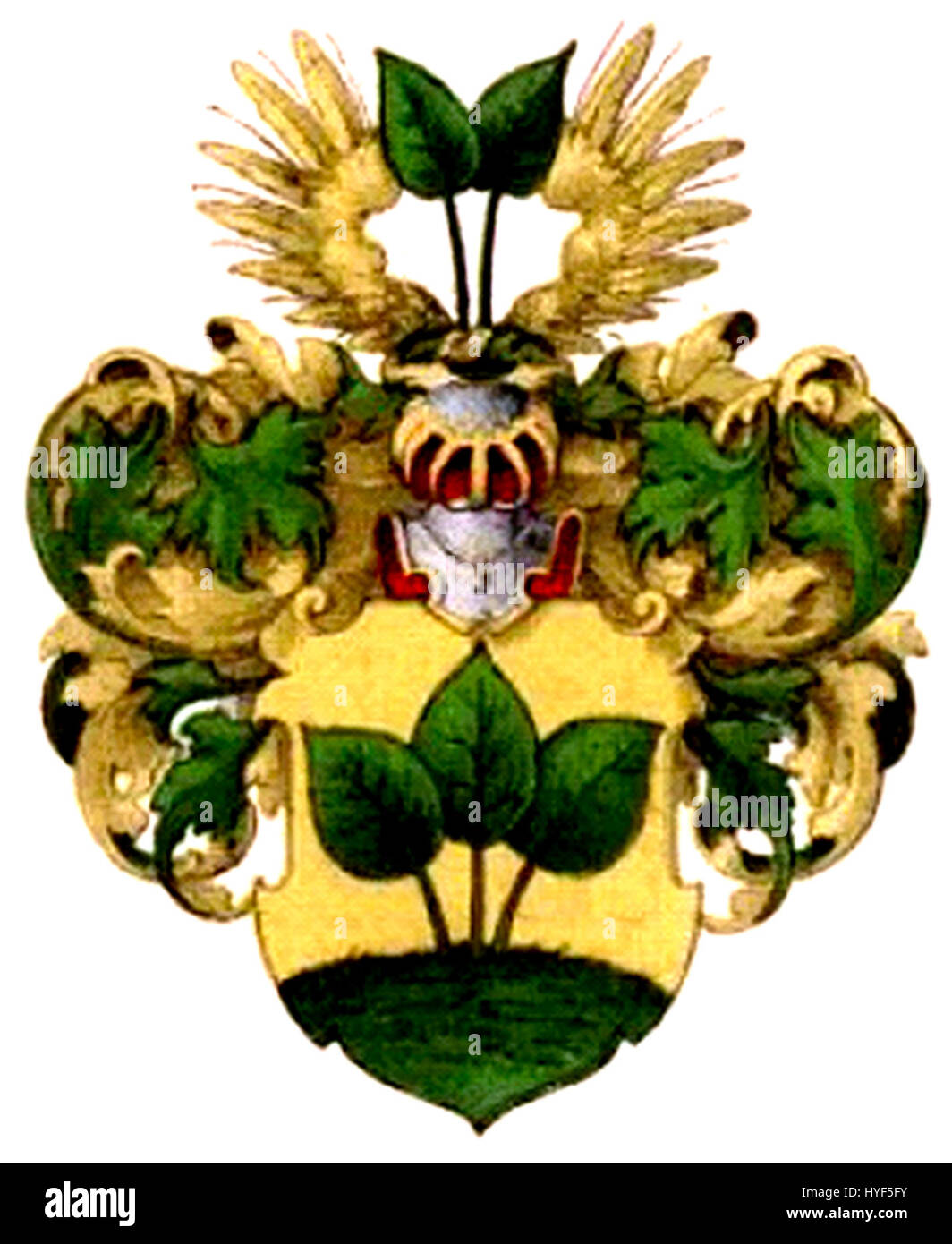 The Meissner Coat of Arms (CoA) is a heraldic emblem representing the ...