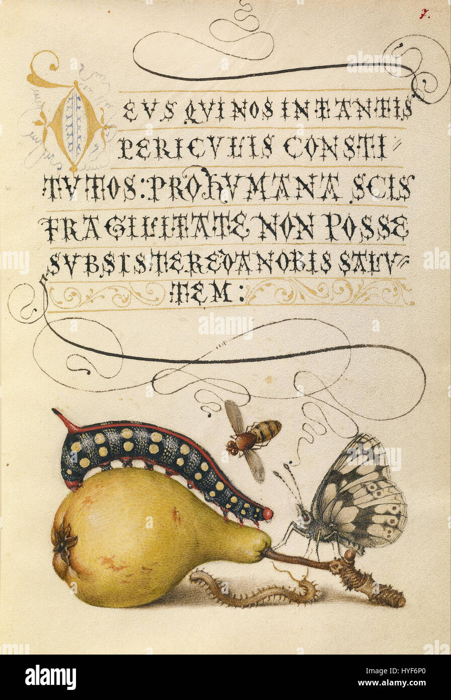 The 'Hungarian Mira Calligraphiae Monumenta' is a significant ...