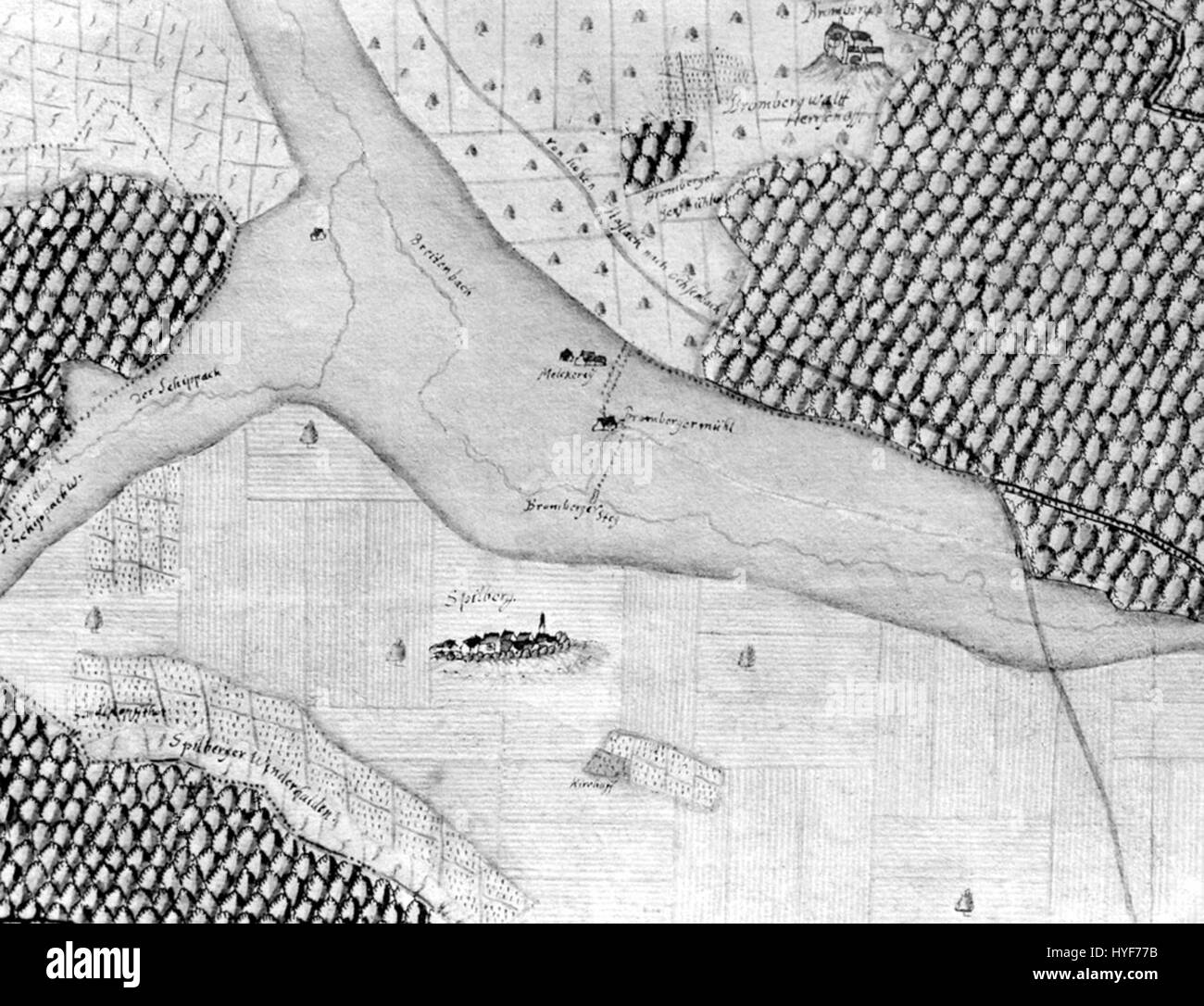 The Kiesersche Forstkarte Nr. 99 is a detailed 18th-century forestry ...
