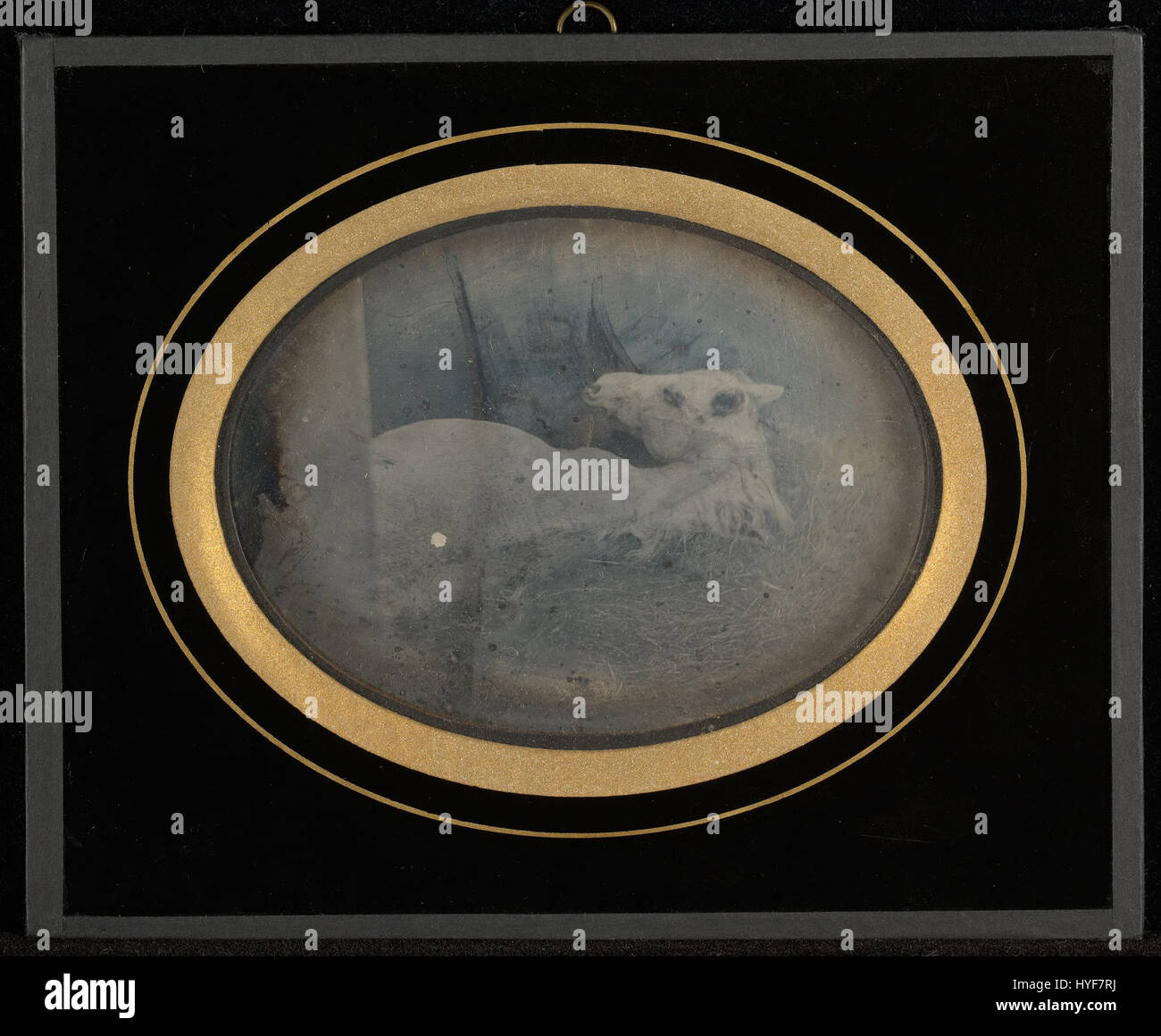 Jean Gabriel Eynard, a Swiss artist, is known for his detailed studies ...