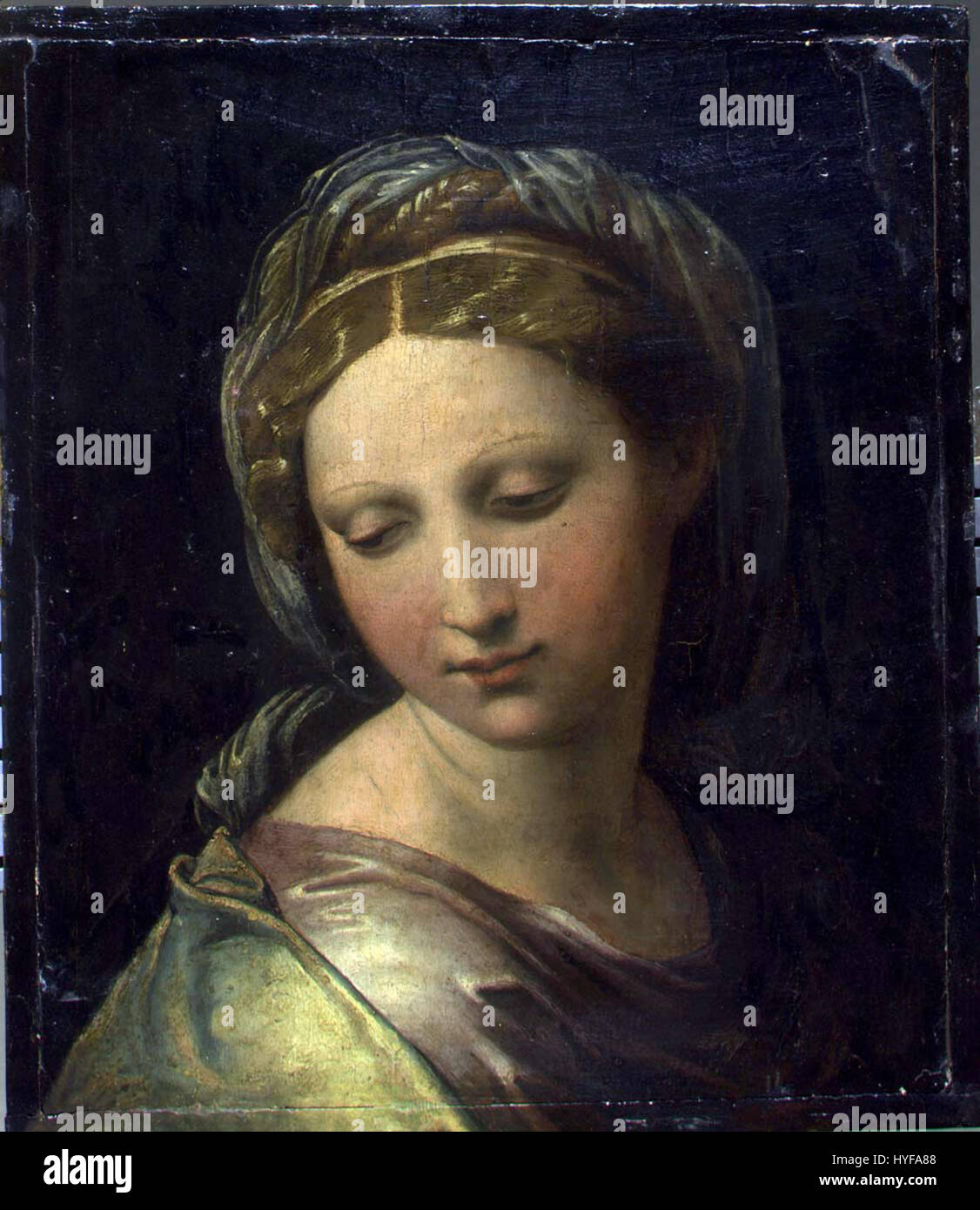Raffaello's 'Ritratto di Donna' is an iconic portrait capturing the ...
