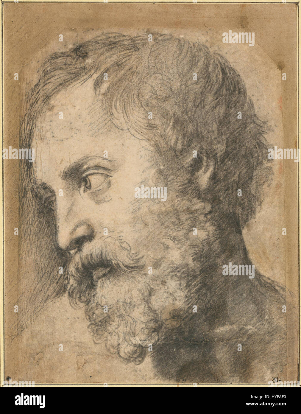 Raphael’s 'Head of an Apostle in the Transfiguration' (1519-1520) is a ...