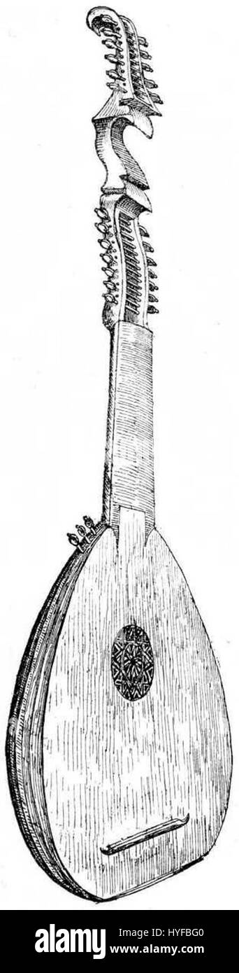 Common native wildflowers Black and White Stock Photos & Images - Alamy