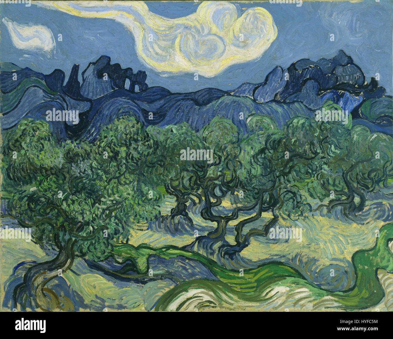 Vincent van Gogh’s 'The Olive Trees' series depicts the vibrant ...