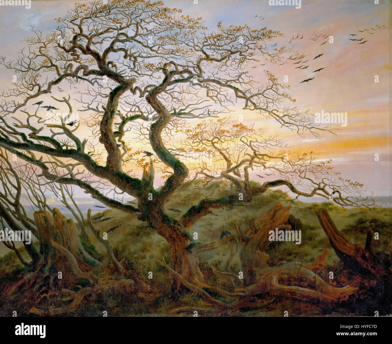 'The Tree of Crows' by Caspar David Friedrich is a haunting landscape ...