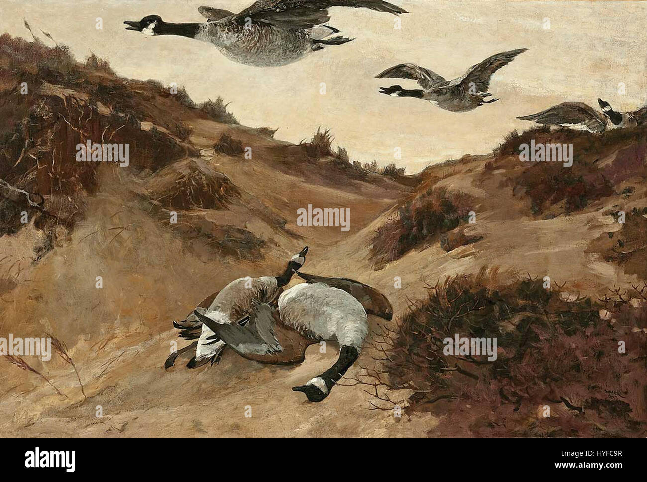 Winslow Homer Wild Geese in Flight Stock Photo - Alamy