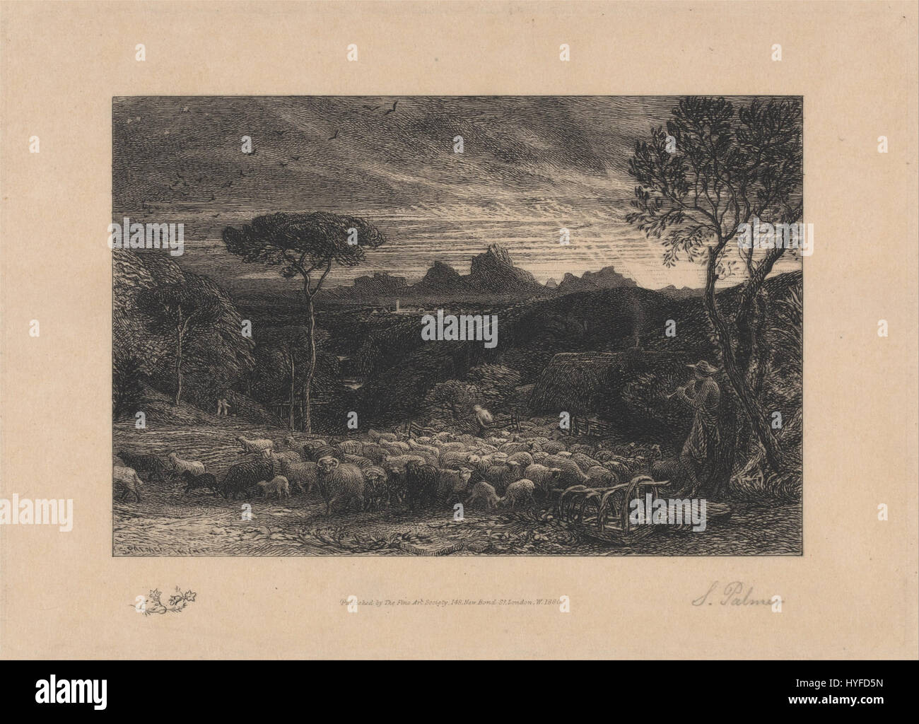 Human life coexist harmoniously hi-res stock photography and images - Alamy