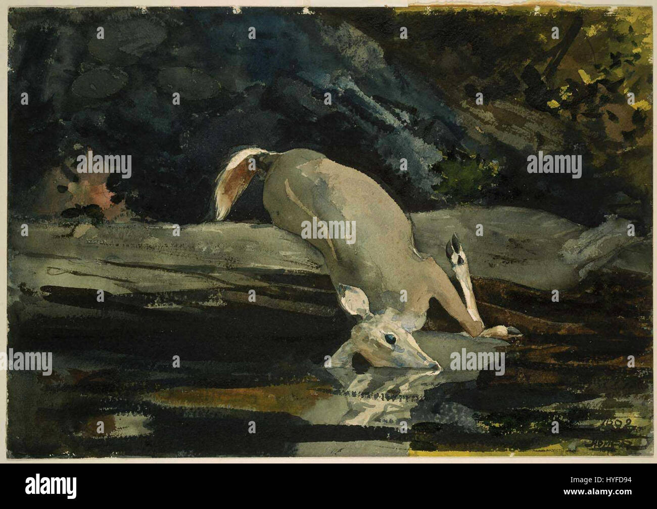 Homer winslow animal hi-res stock photography and images - Alamy