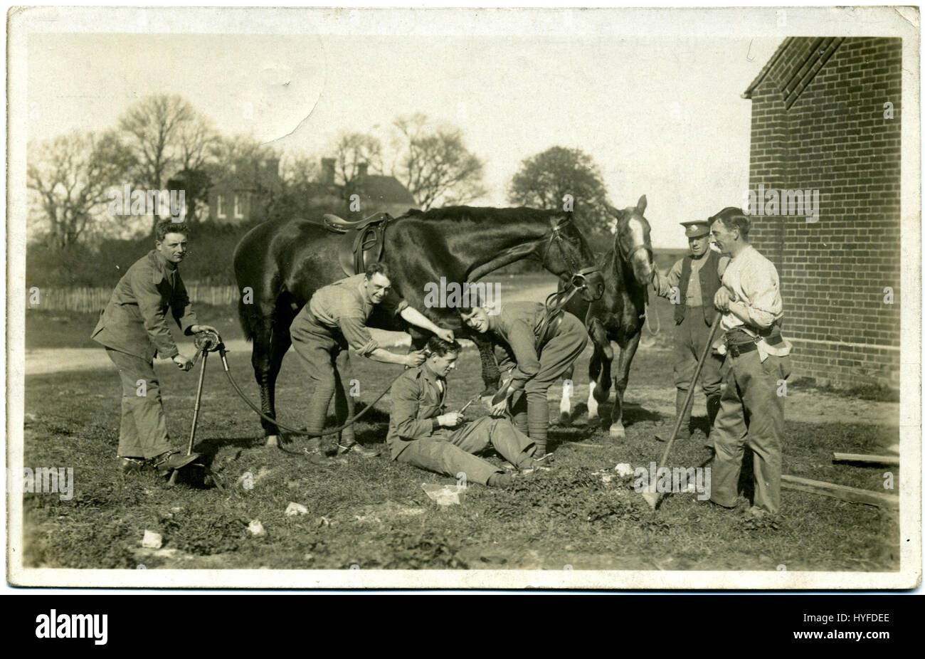 Military equine units hi-res stock photography and images - Alamy