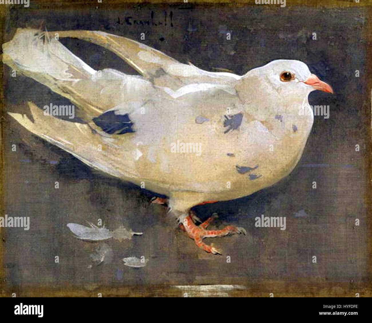 Joseph Crawhall’s 'The Pigeon' is a detailed study of a bird ...