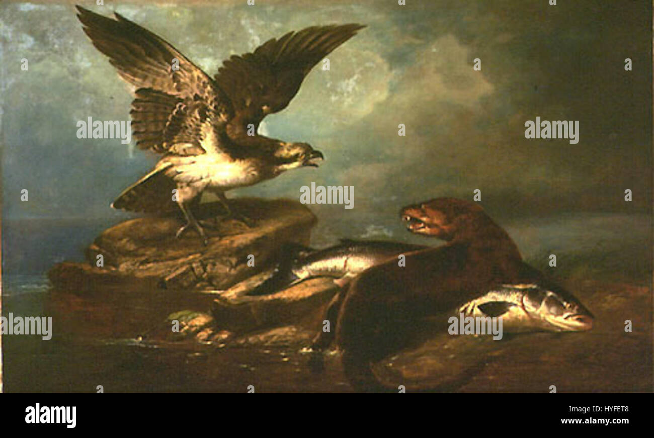 John james audubon museum audubon hi-res stock photography and images ...