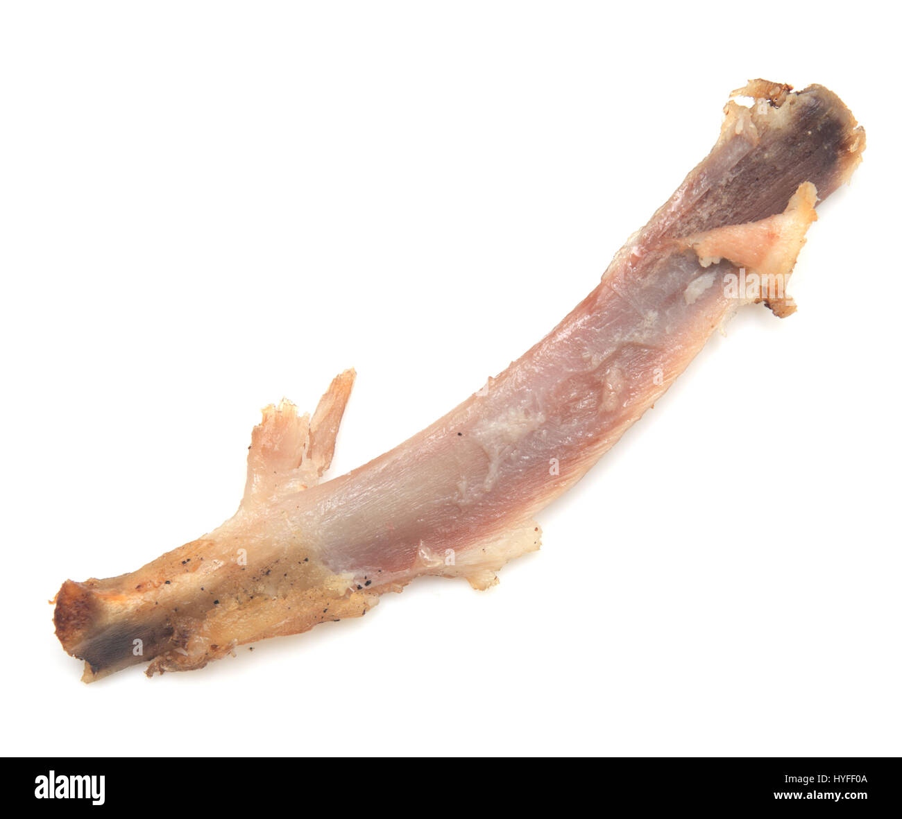 chicken bone isolated on white background Stock Photo - Alamy