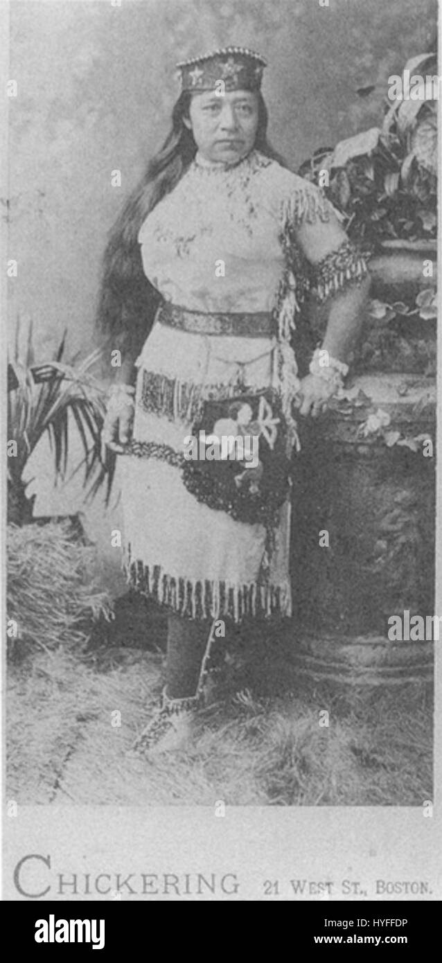 Elmer Chickering's portrait of Sarah Winnemucca, circa 1884, captures ...