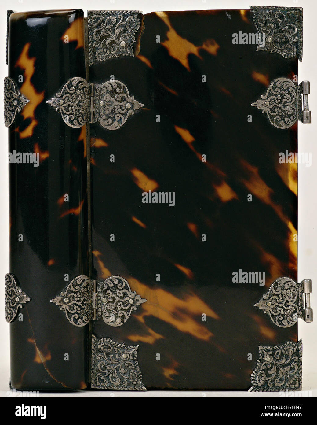 Shell structure hi-res stock photography and images - Alamy