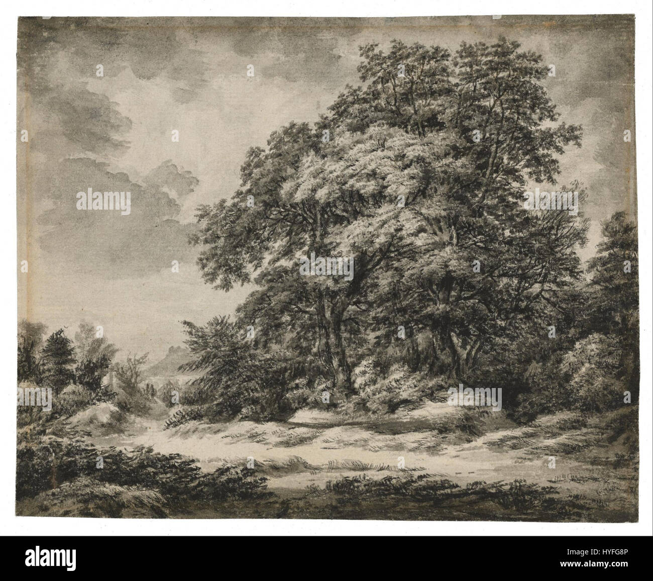 *Forest Landscape* by Edward Lear features a dramatic depiction of ...