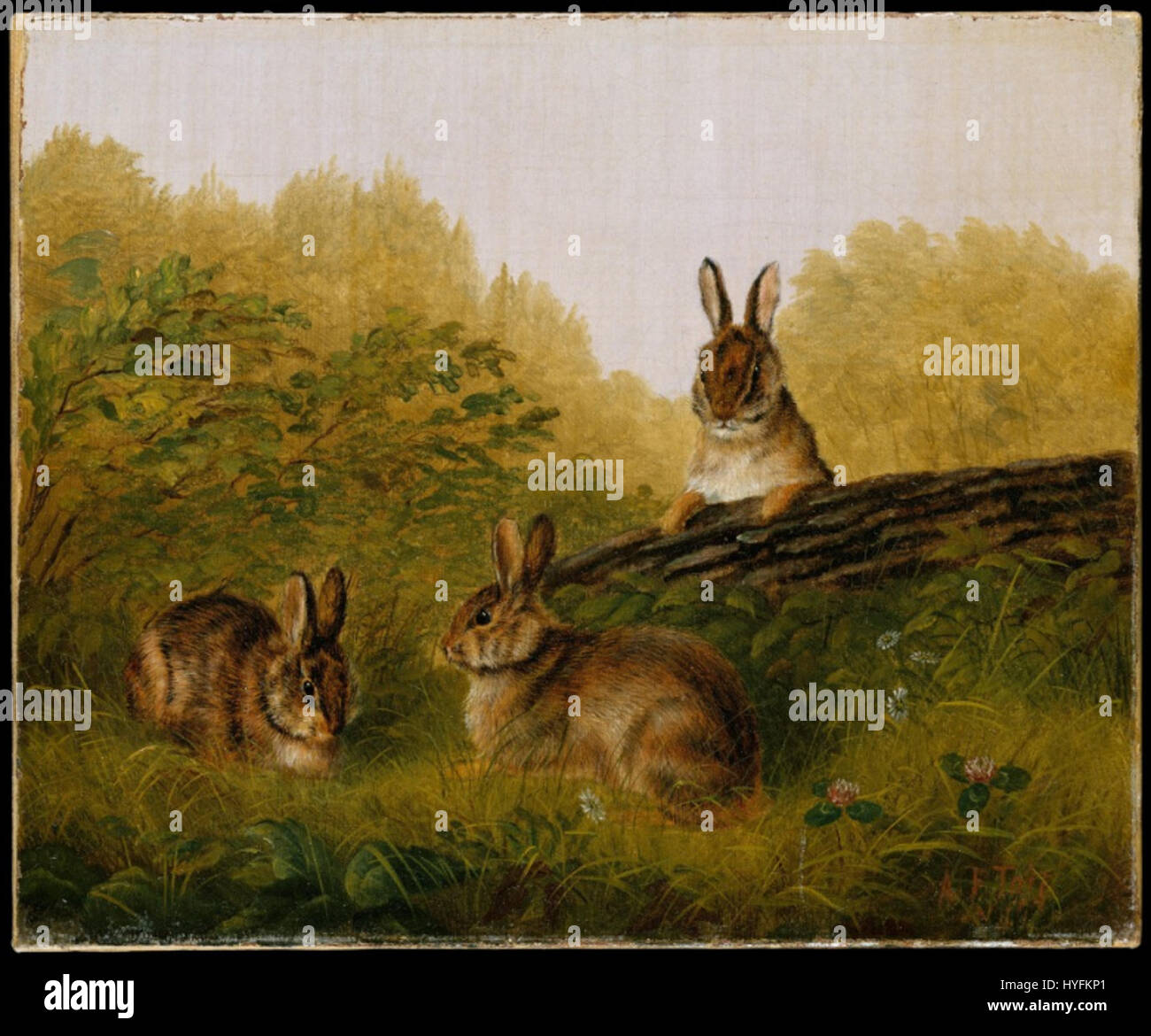 Arthur Tait High Resolution Stock Photography and Images - Alamy