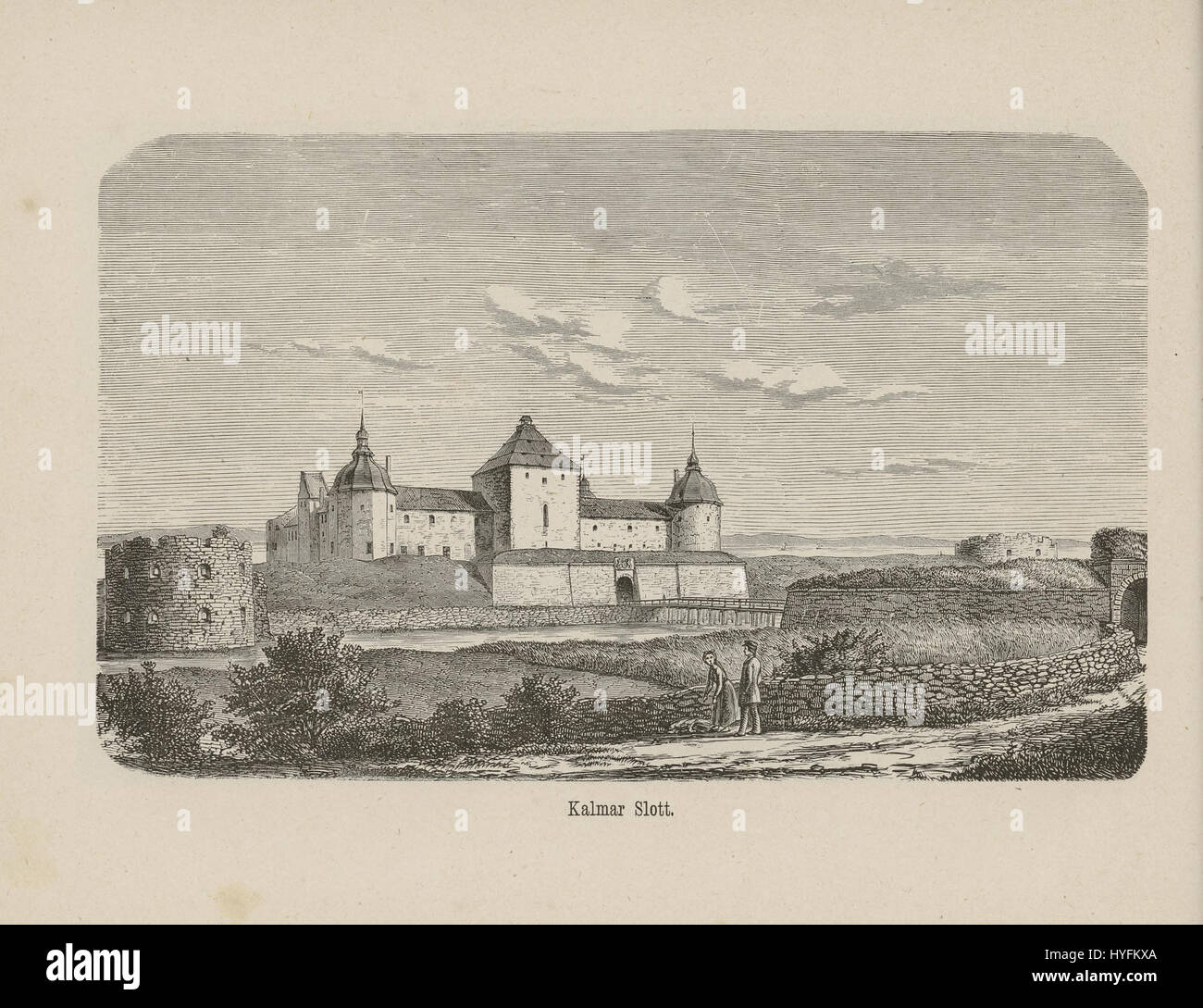 'Nordiska taflor' is a Swedish botanical illustration collection ...