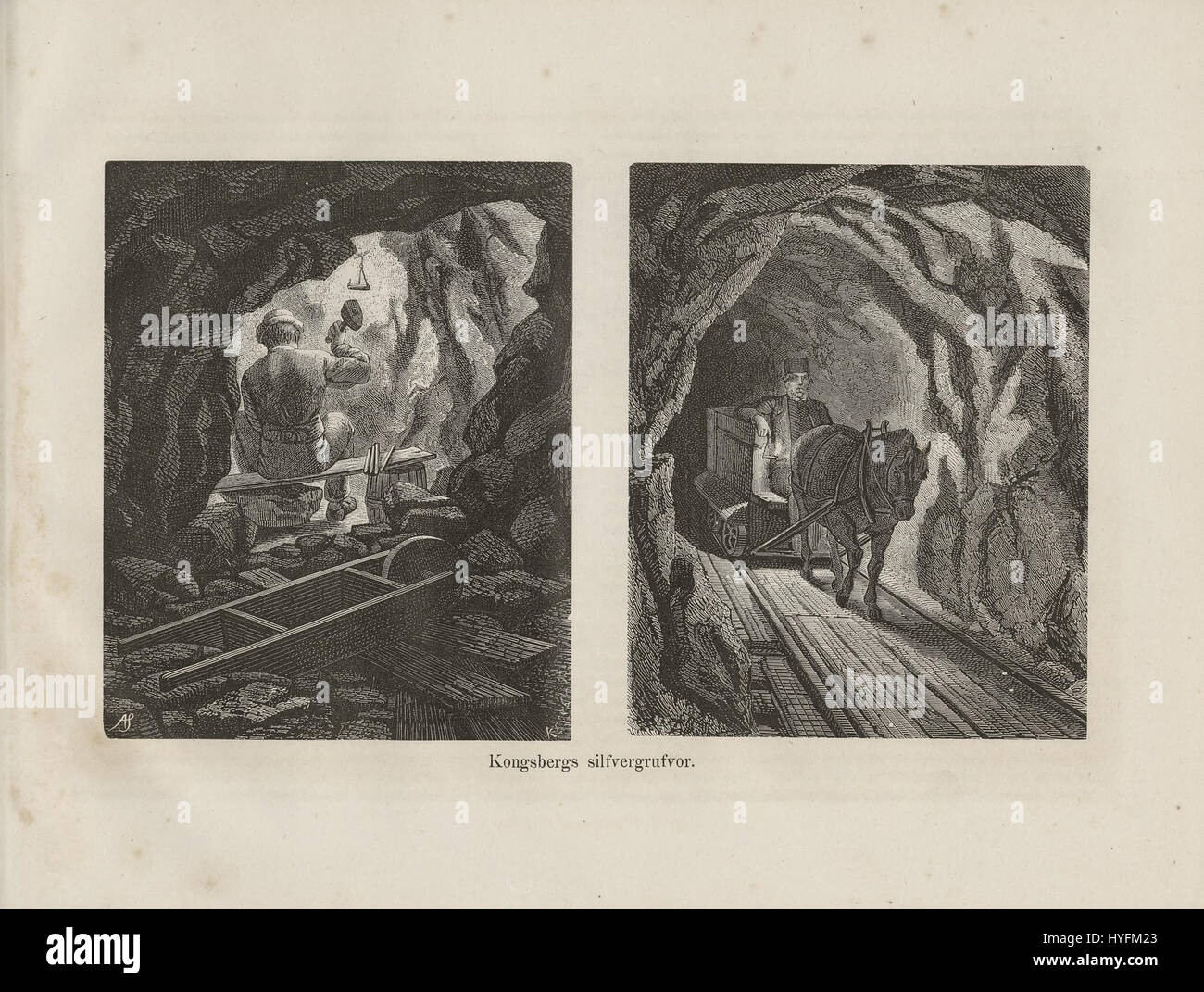 The 'Nordiska Taflor' (Nordic Plants) is a botanical work from 1911 ...