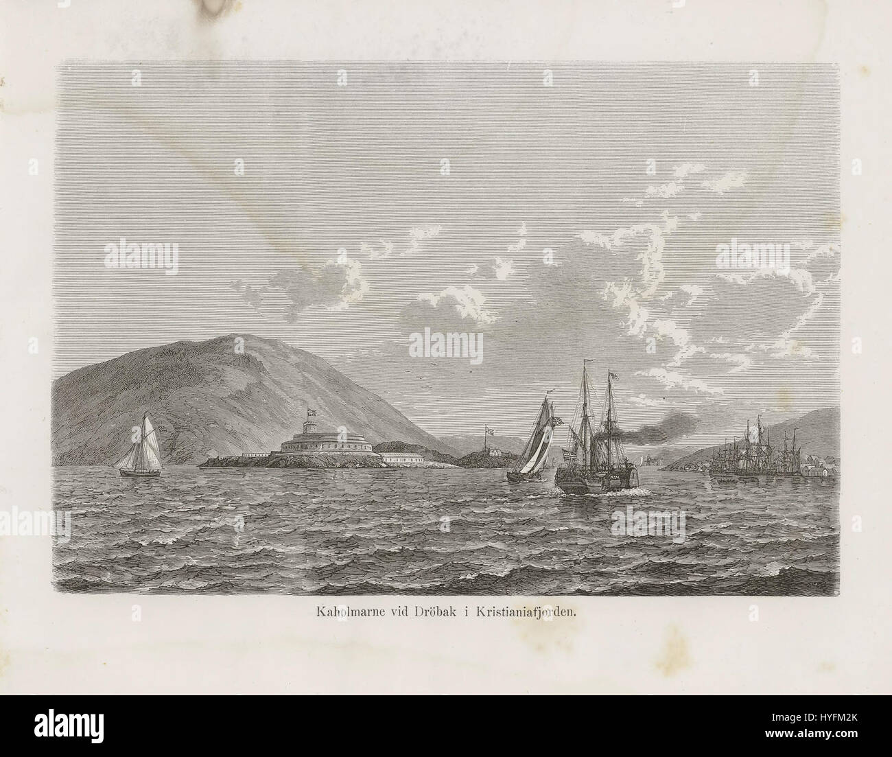 *Nordiska Taflor* is a 19th-century Swedish botanical illustration ...