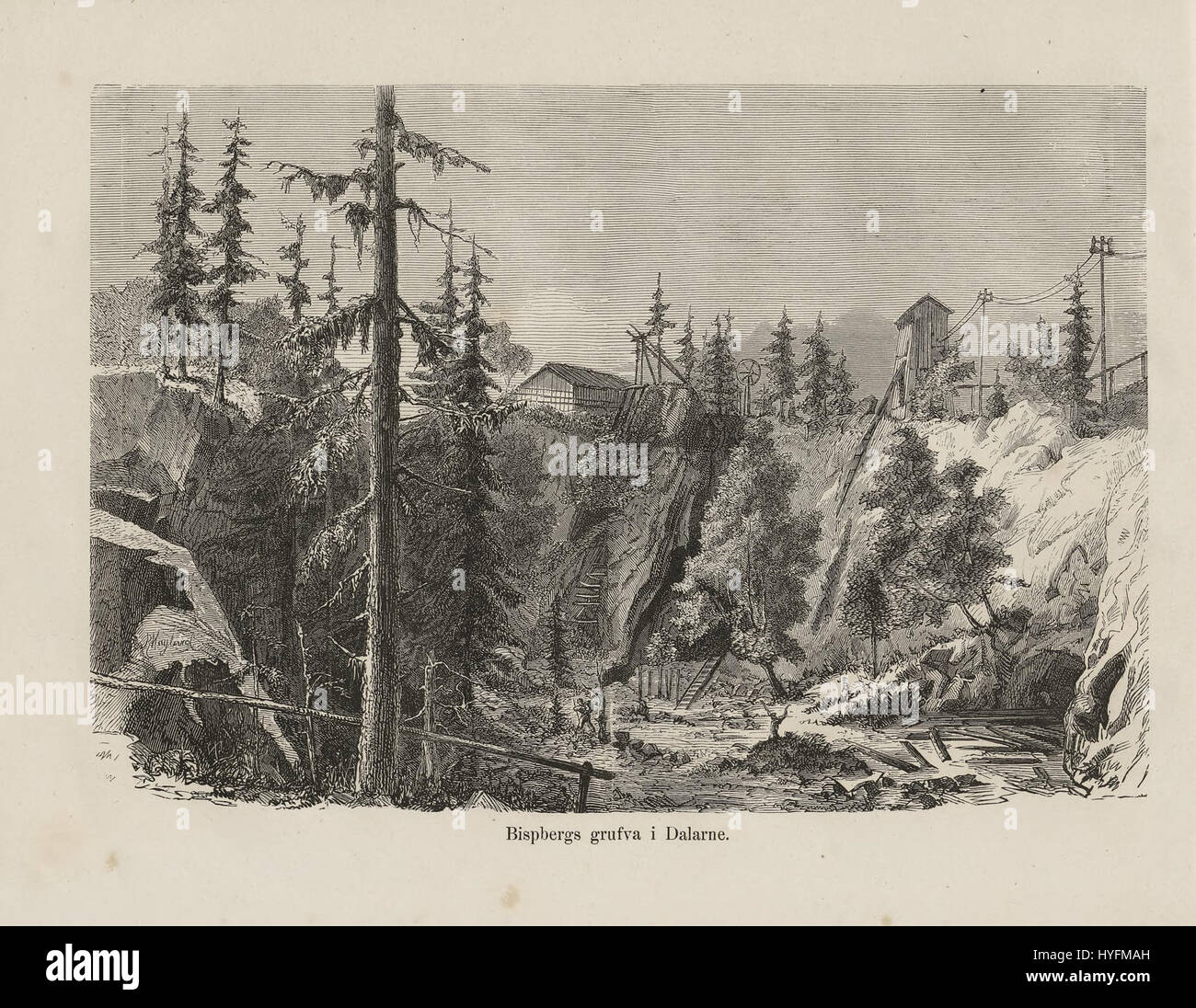 'Nordiska taflor' is a Swedish botanical work that provides detailed ...